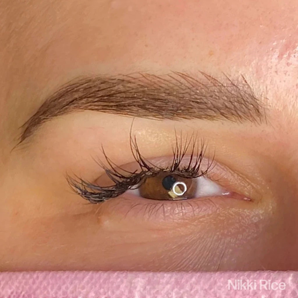 Perma Blend brow pigments - Dark Forest Brown | Beauty Cult Canada